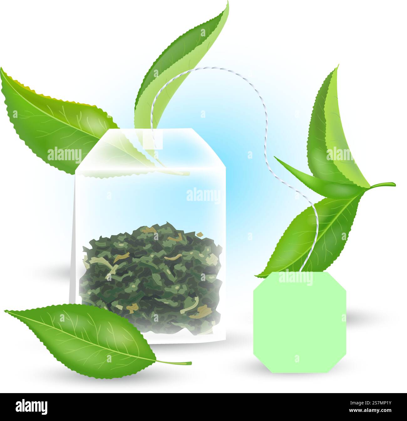 Green Tea concept with rectangular tea bag and realistic leaves. Vector ...