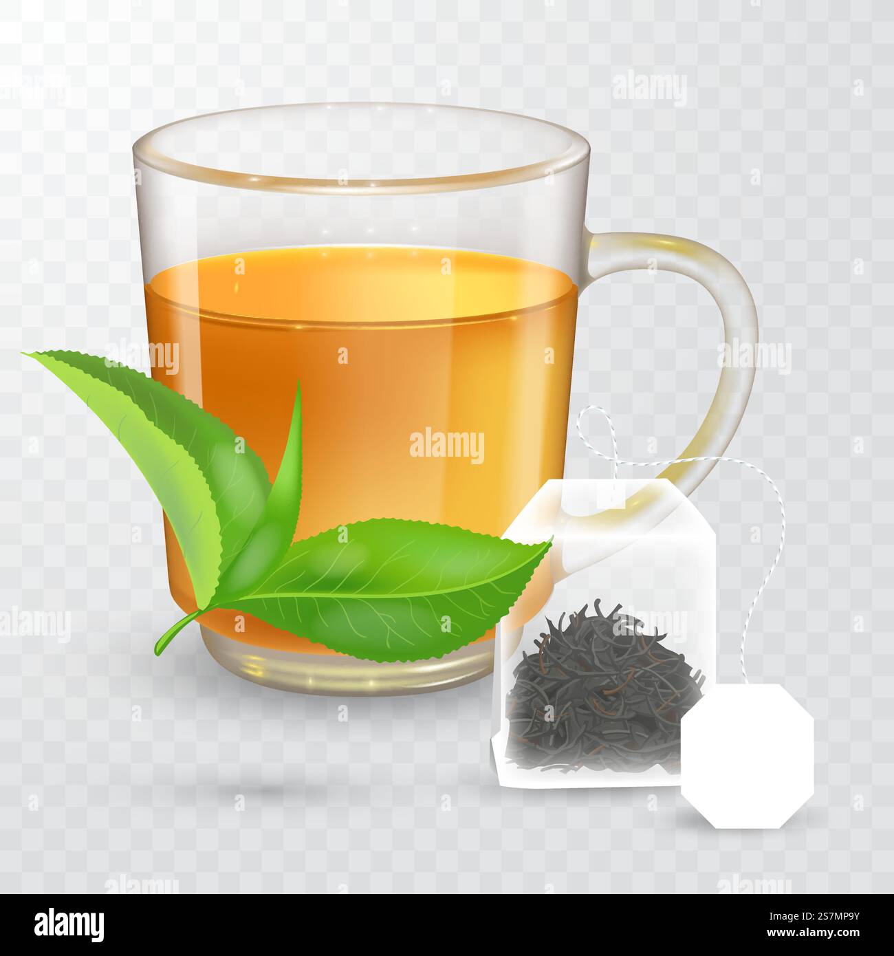 High detailed vector illustration of transparent cup with black or ...