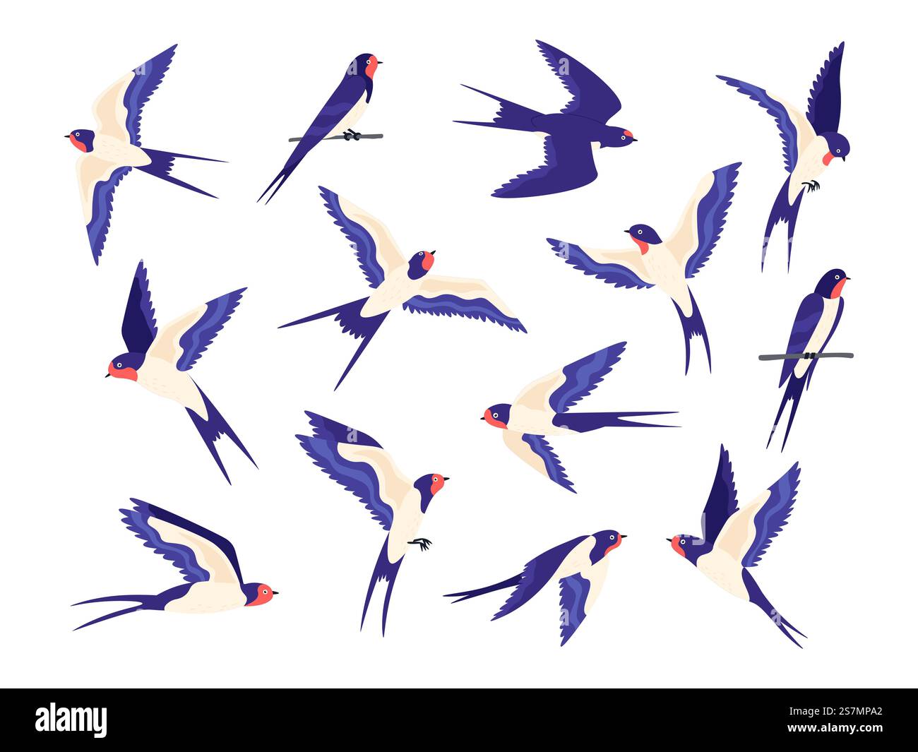 Cartoon small barn swallow birds flight poses. Flat swallows fly in sky ...
