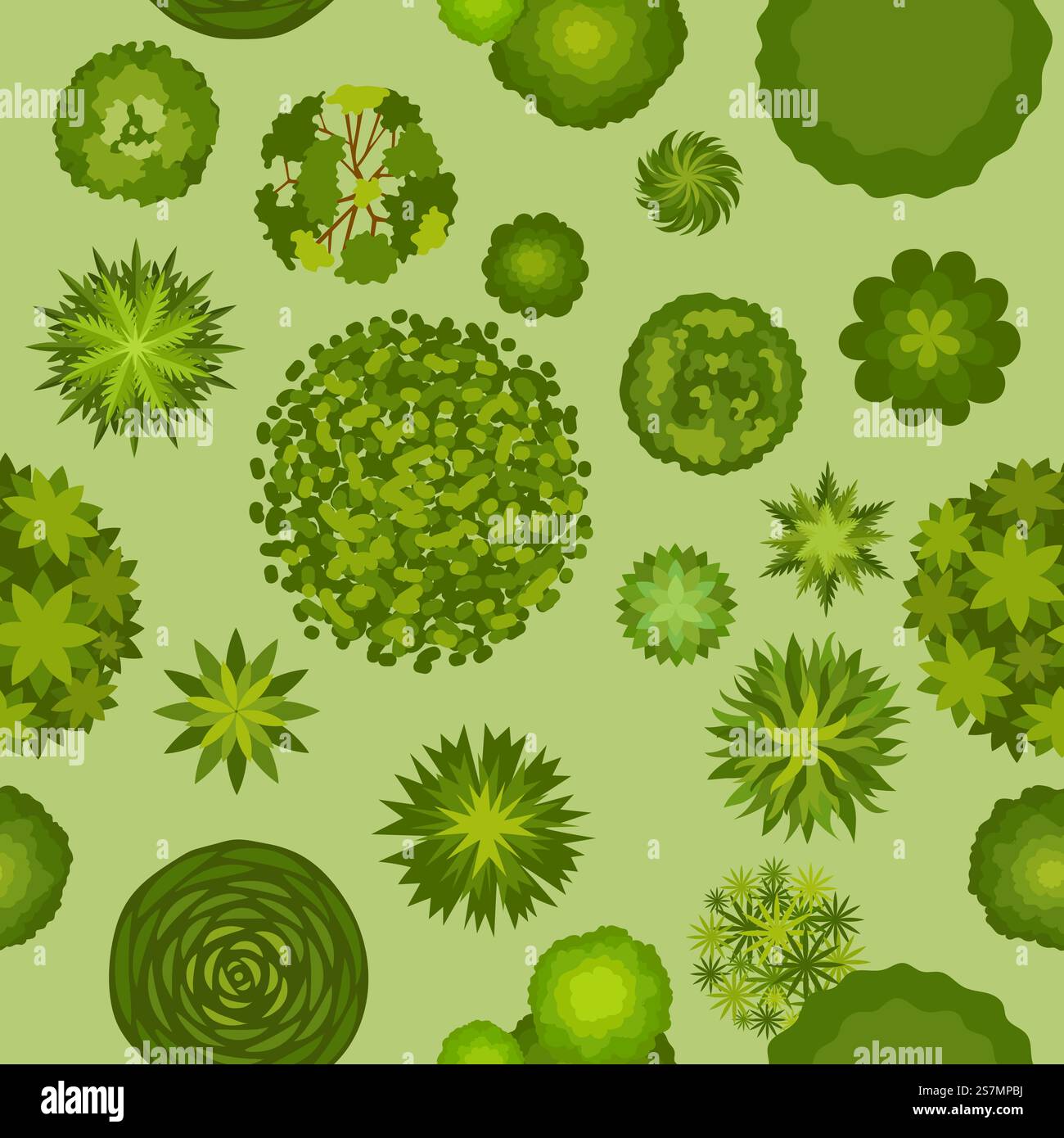 Forest landscape with trees top view seamless pattern. Map plan with ...