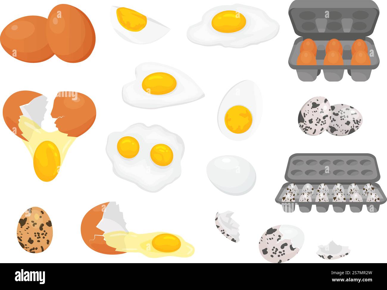 Cartoon farm fresh chicken and quail eggs in packages broken hi-res stock photography and images ...