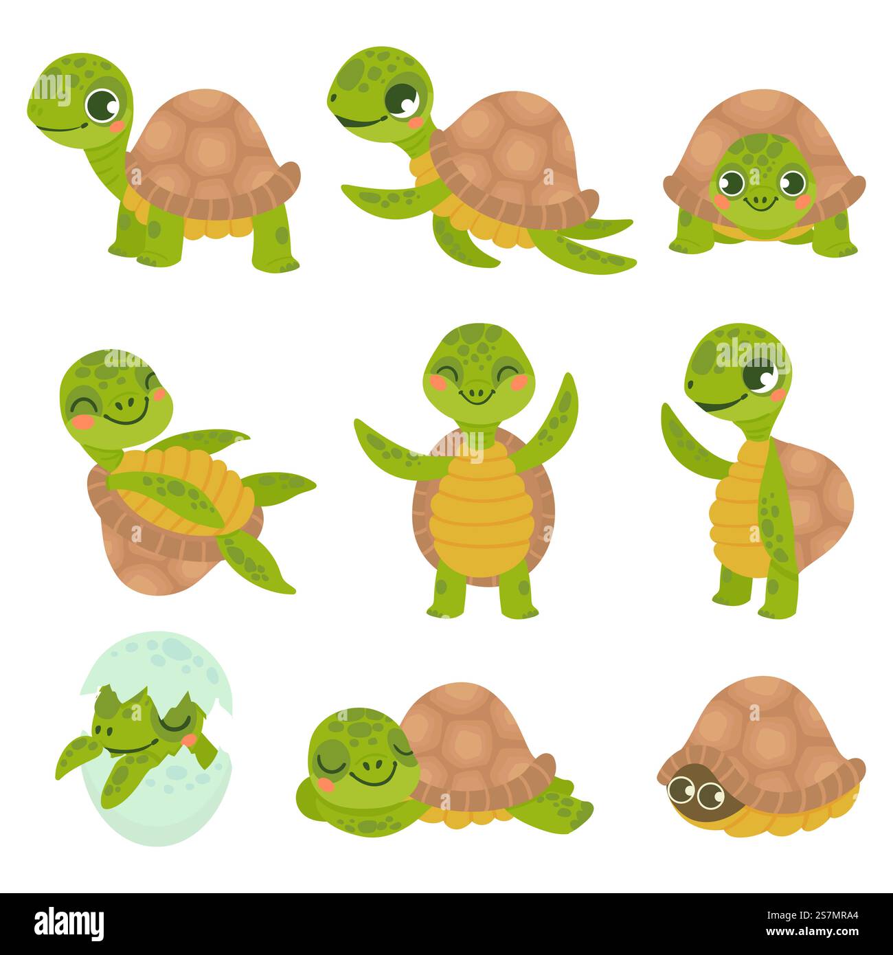 Cartoon smiling turtle. Funny little turtles, walking and swim tortoise ...