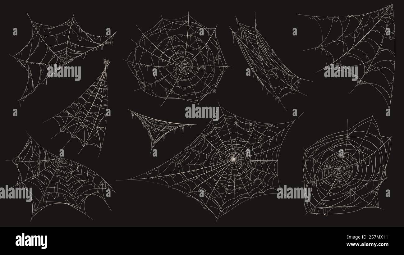 Old dusty spider web Stock Vector Images - Alamy