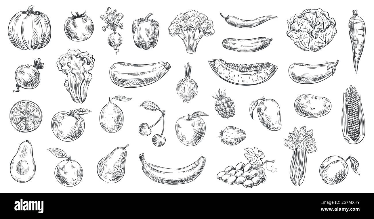 Sketched vegetables and fruits. Hand drawn organic food, engraving ...
