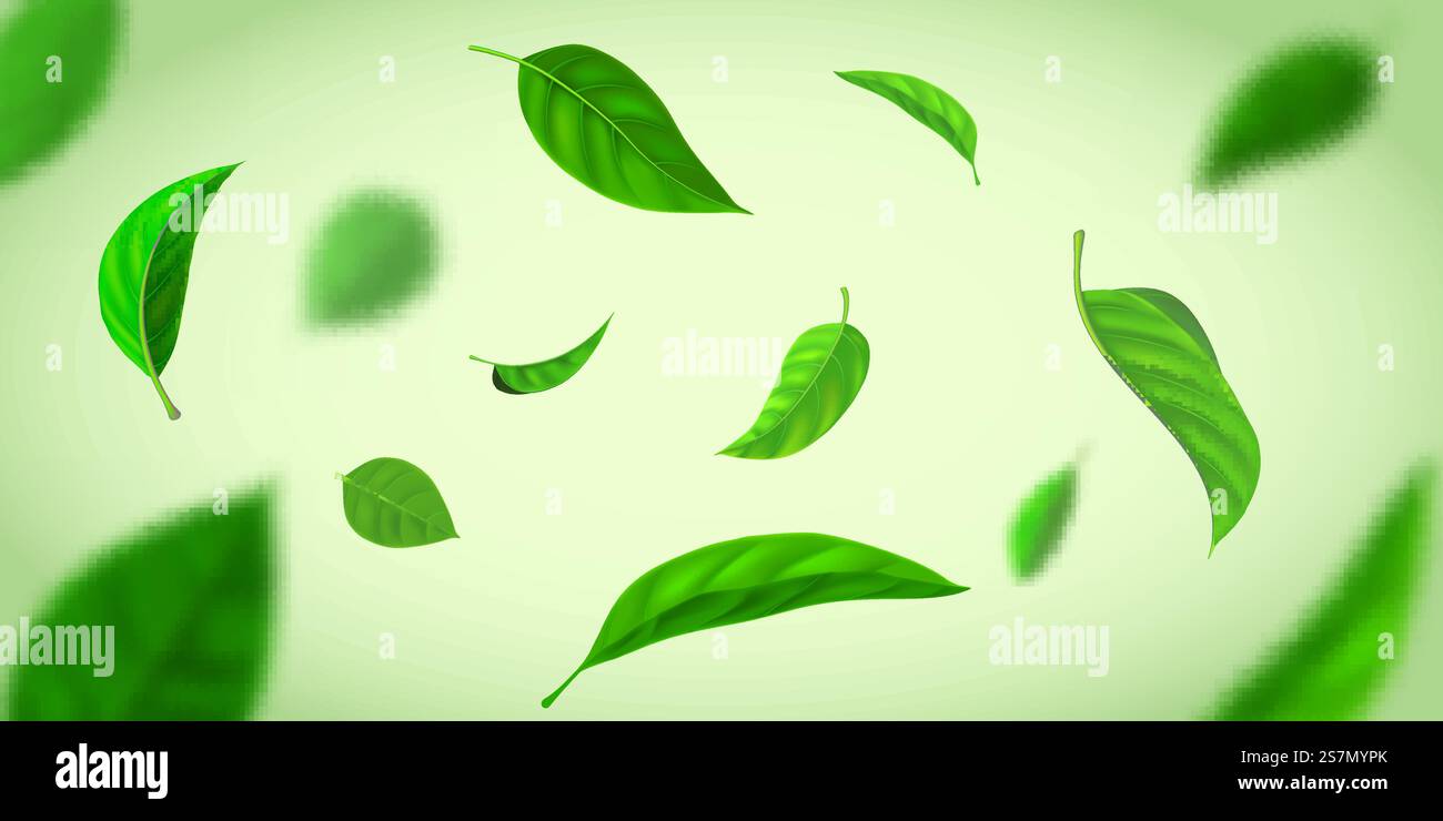 Foliage in motion Stock Vector Images - Alamy