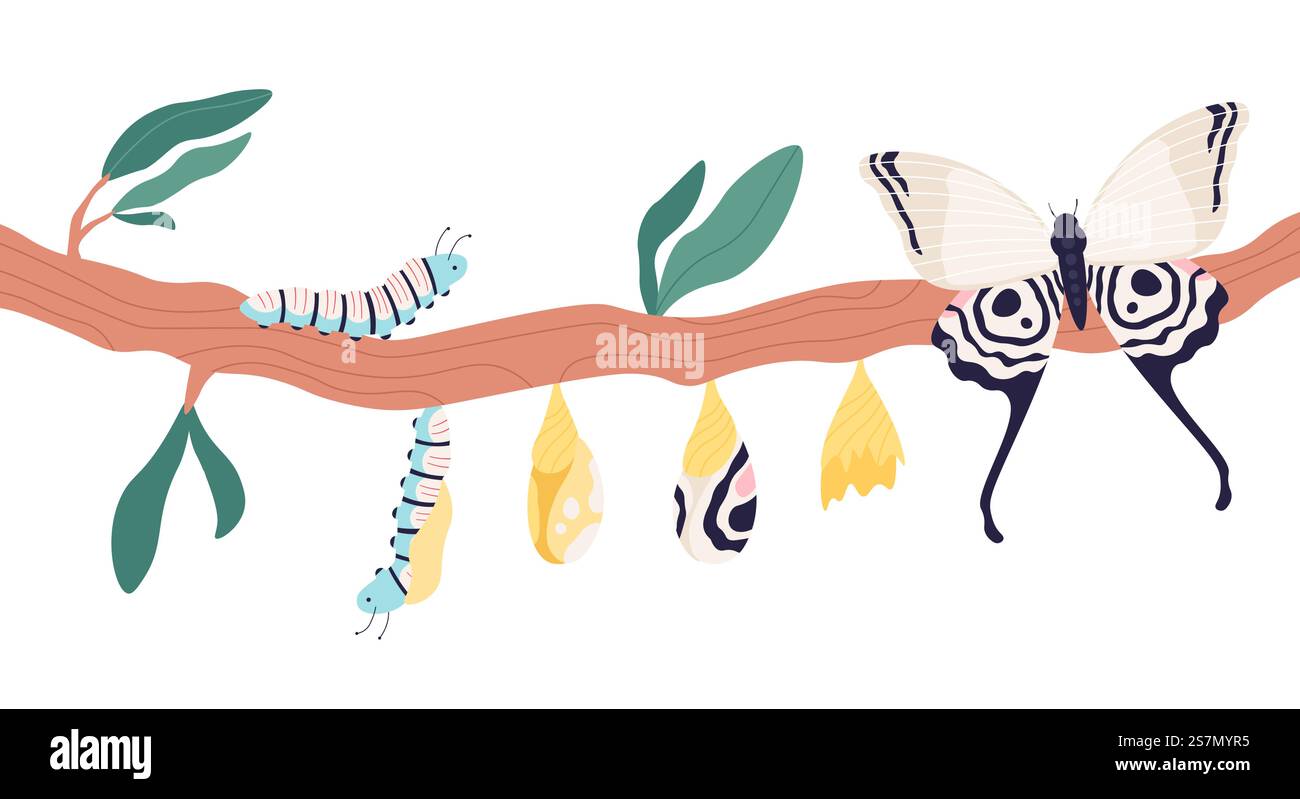 Butterfly metamorphosis. Growth process and life cycle from caterpillar ...