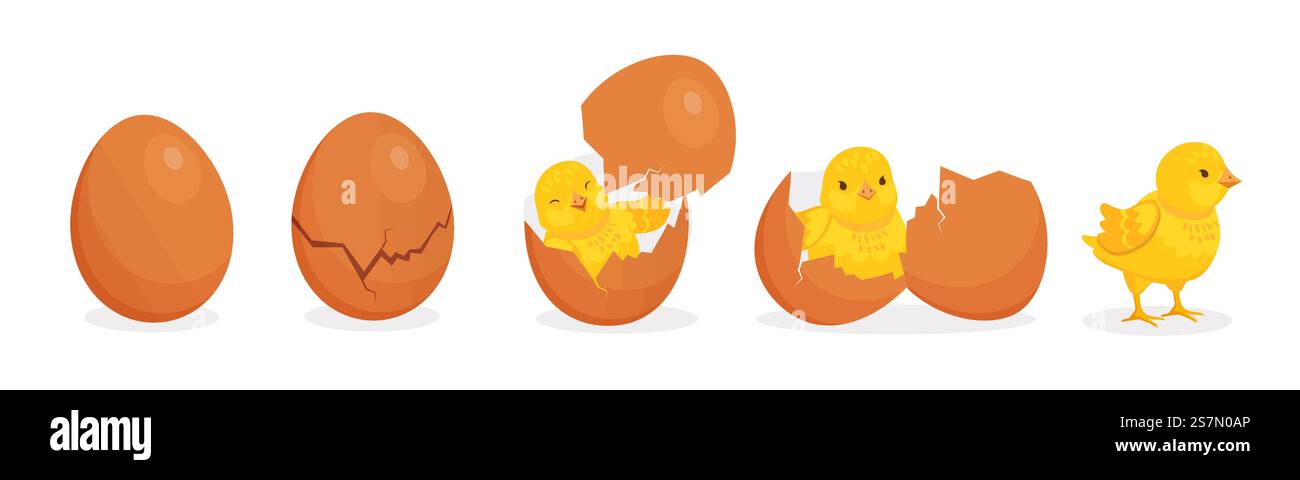 Cartoon cute baby chicken hatch from egg stages. Cracked eggshell and newborn yellow chick ...