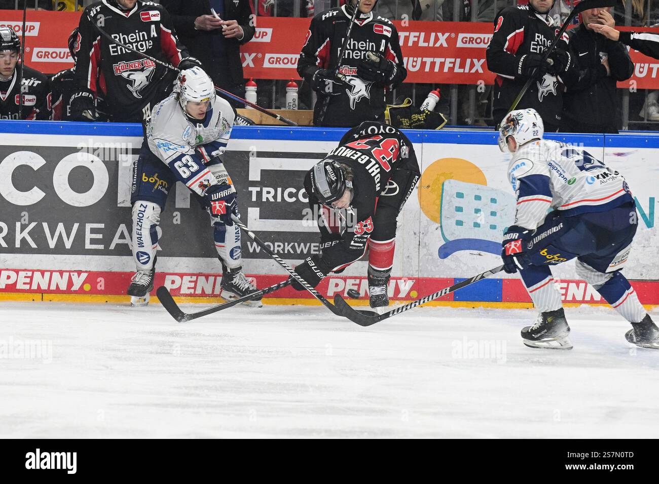 Eishockey DEL - 24/25 - 38. Spieltag: Kölner Haie vs Iserlohn Roosters ...