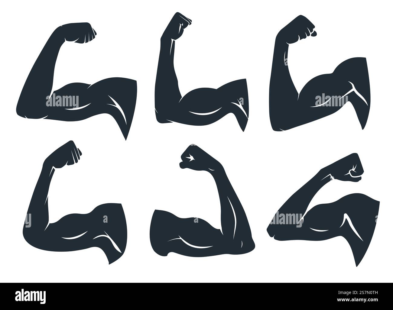 Hand muscle silhouette. Strong arm muscles, hard biceps and power gym ...