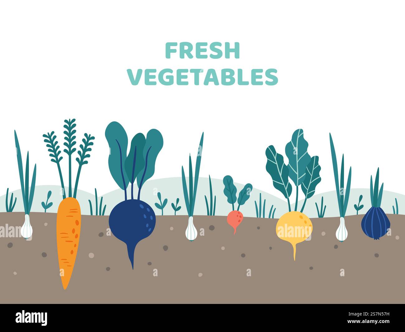 Vegetable garden. Gardening vegetables food, potatoes gardens and ...