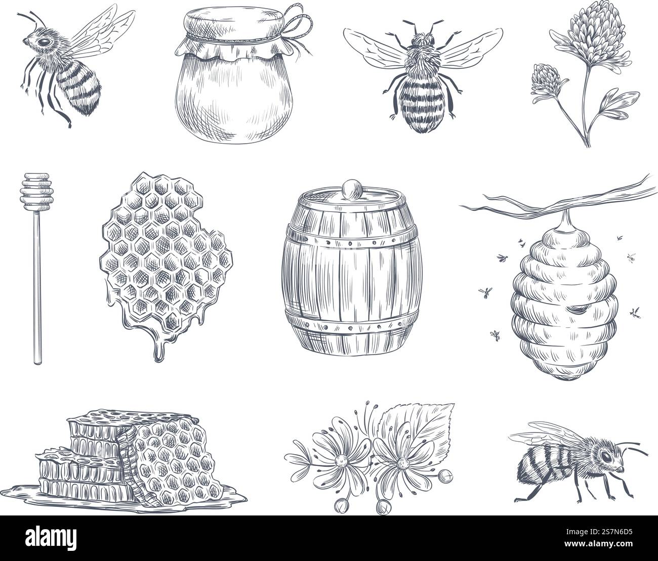 Bee engraving. Honey bees, beekeeping farm and honeyed honeycomb ...
