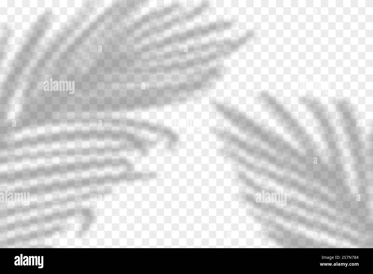 Vector illustration of realistic tropical shadow overlay effect ...