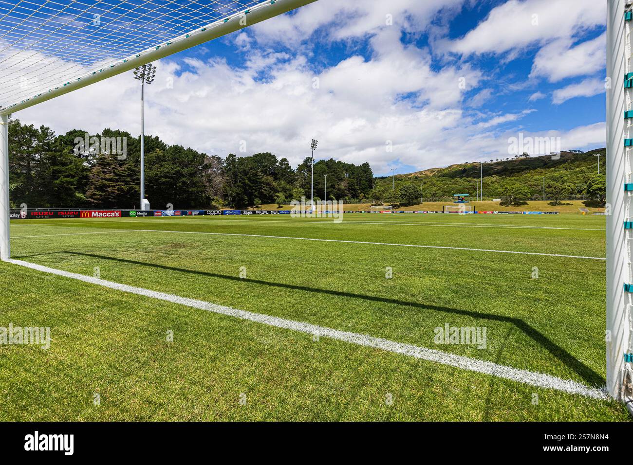 WELLINGTON, NEW ZEALAND - JANUARY 19: A general view of the goal at ...