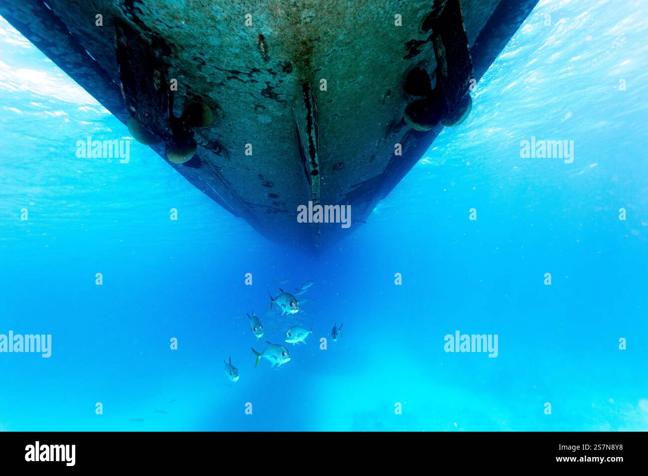 Diving below the ship keel at Turks & Caicos Islands at the Caribbean ...