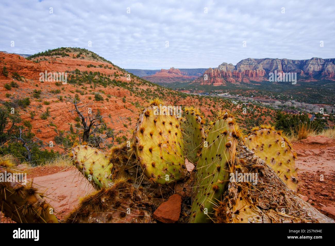 Sedona, AZ, USA - 19 Jan 2025 - Rock formations, hills and plant life ...