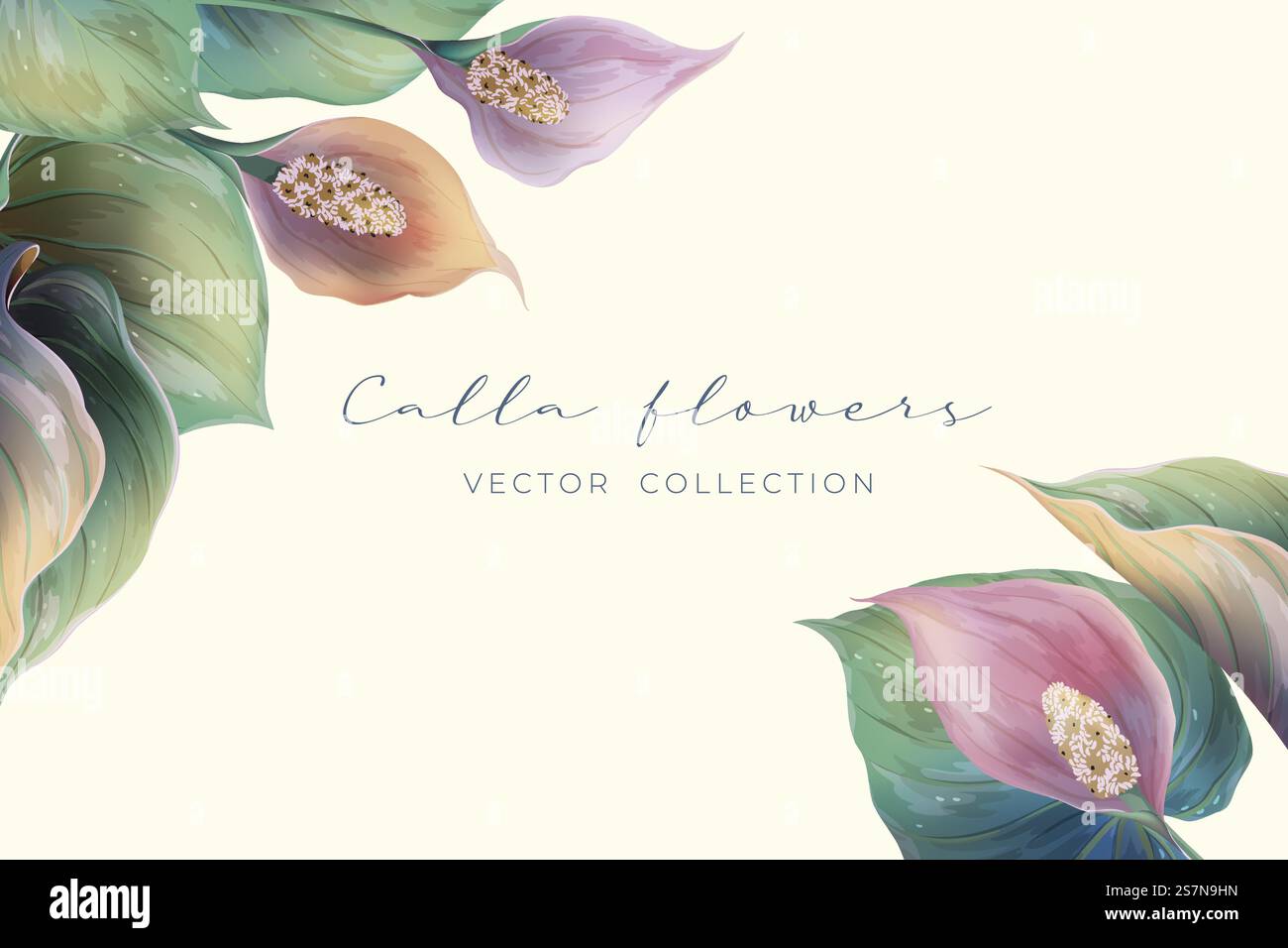 Realistic flowers vector frame. Botany illustration. Decorative ...