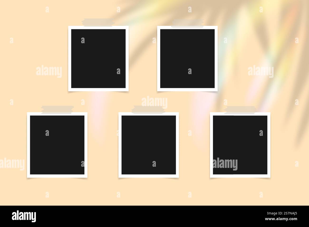 Realistic blank photo frames with adhesive tape, trendy tropical shadow ...