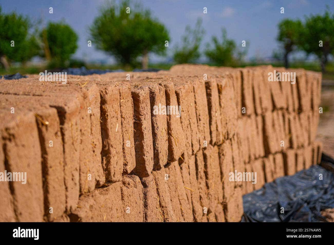Kilned mud bricks stored outside the Zurmala Stupa and used for ...