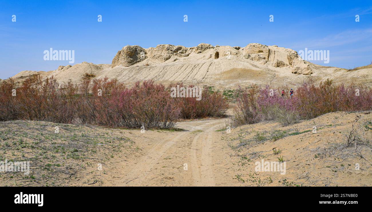 Ruins of the ancient Sogdian capital of Varakhsha, founded in the 1st ...