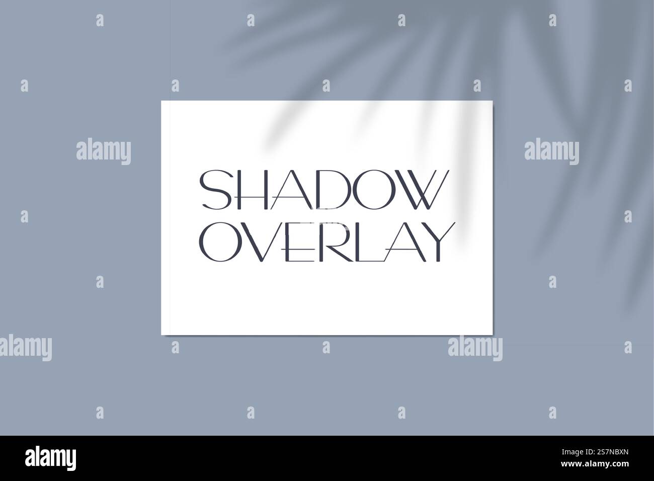Vector illustration of a4 paper mockup with realistic tropical shadow ...