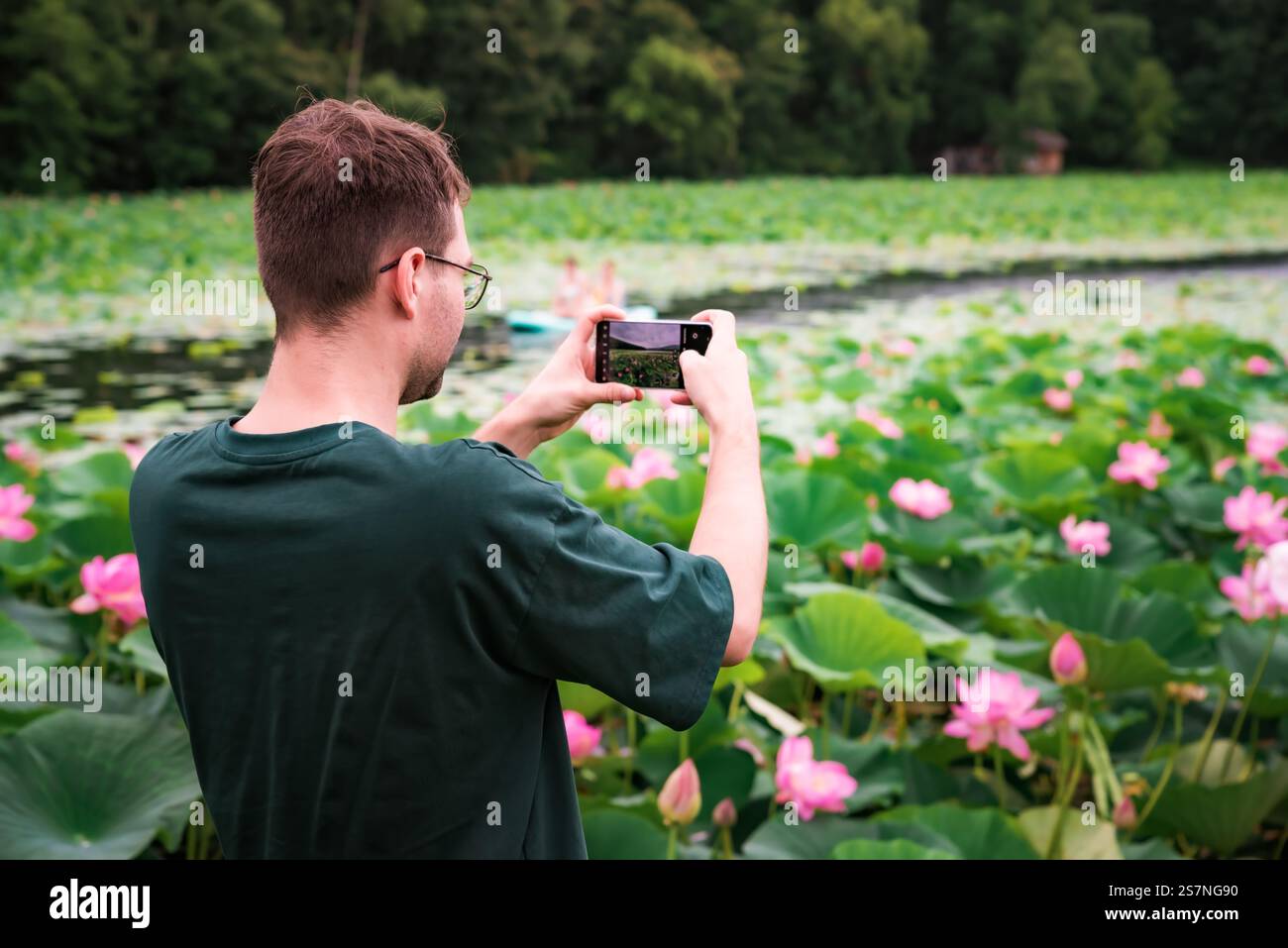 A Russian man takes a photo of Komarov lotus flowers at a lake in ...