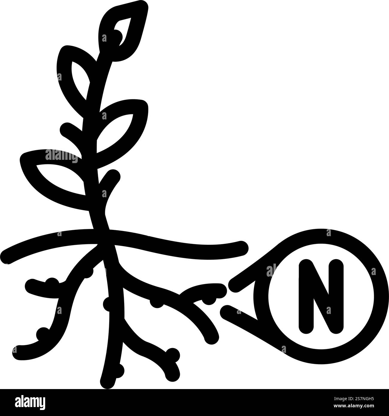nitrogen fixation environmental line icon vector. nitrogen fixation ...