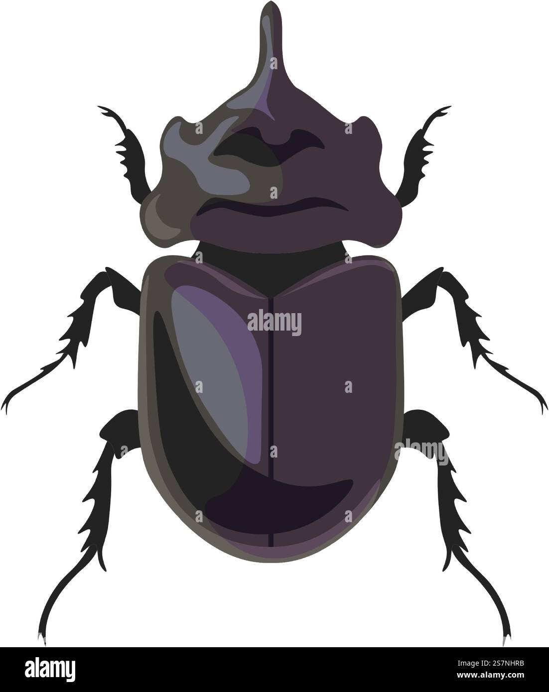 Insects and beetles from wilderness and nature, isolated bug Rhinoceros ...