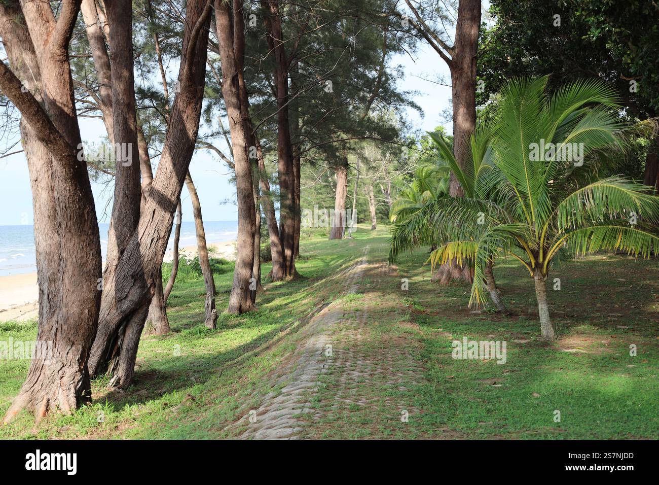 shoreline footpath over concrete erosion reduction lattice shaded by ...