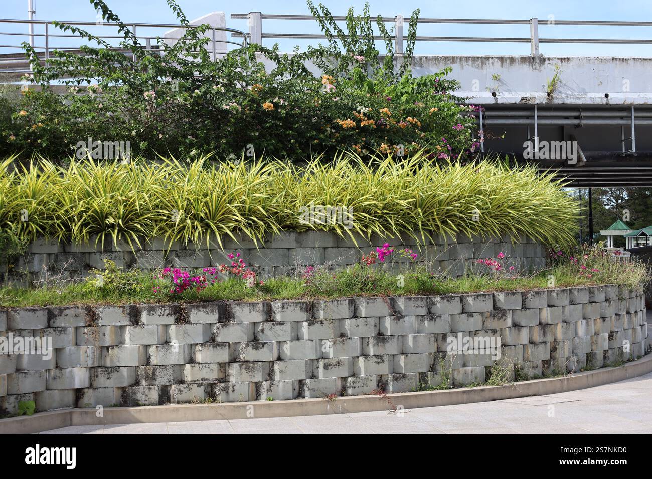 cement block retaining walls around a bridge pier landscaped with three ...