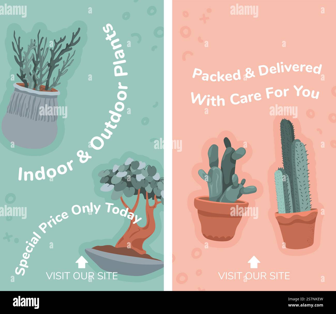 Special price only today, buy indoor and outdoor plants. Packed and ...