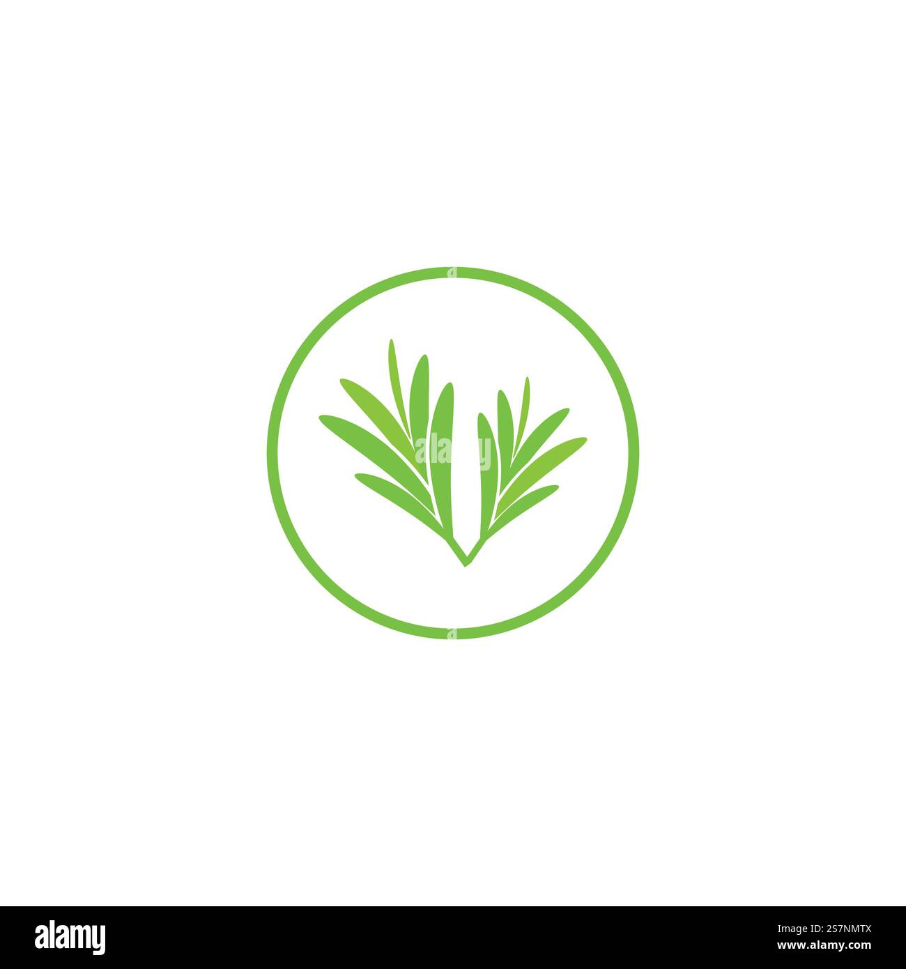 Rosemary logo vector illustration template business element and symbol ...