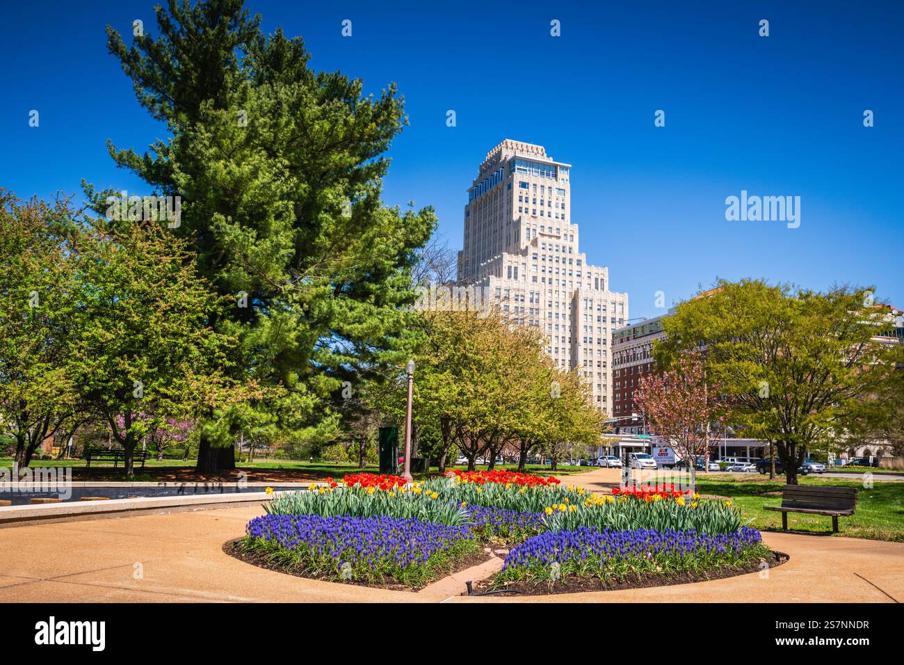 St. Louis, MO USA - April 11, 2019: Colorful tulips and hyacinth pincushion garden in Forest ...