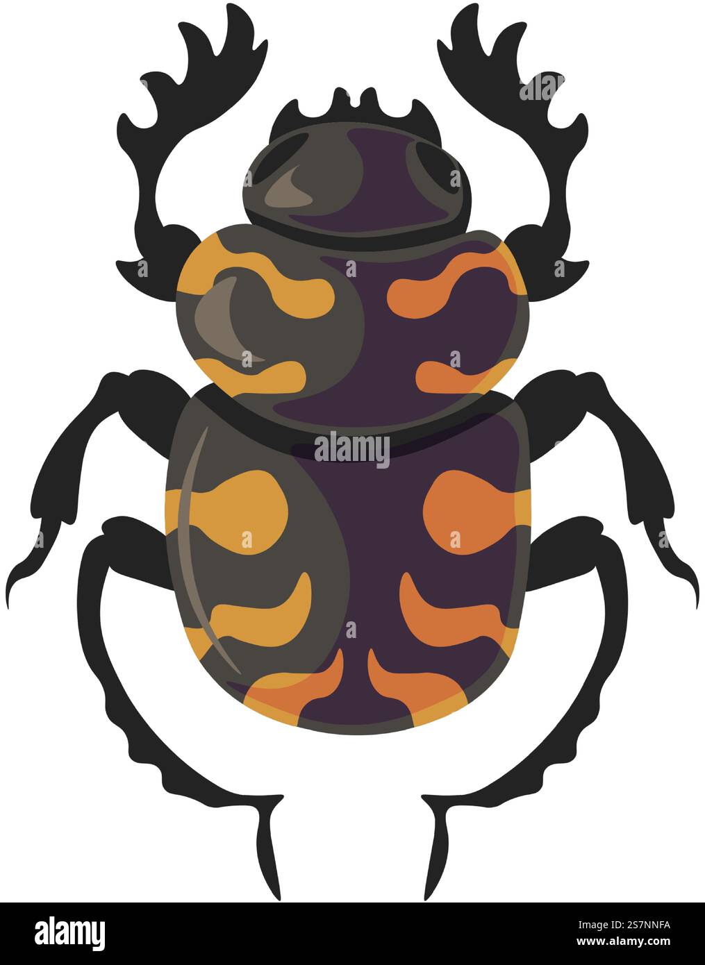 Insect species and types, isolated bug carrion beetle with legs and ...