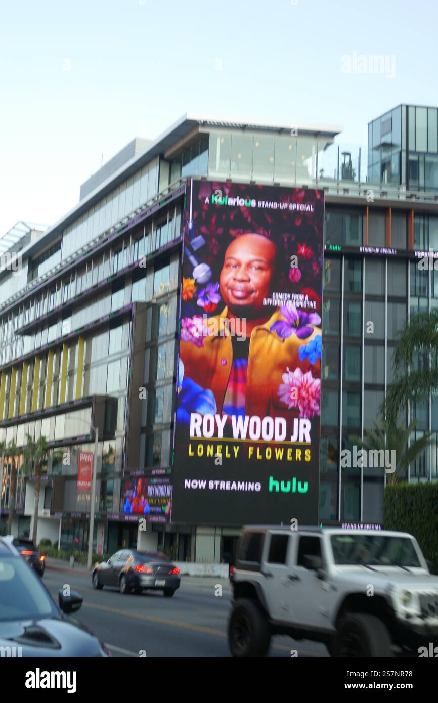 Los Angeles, California, USA 18th January 2025 Comedian Roy Wood Jr ...