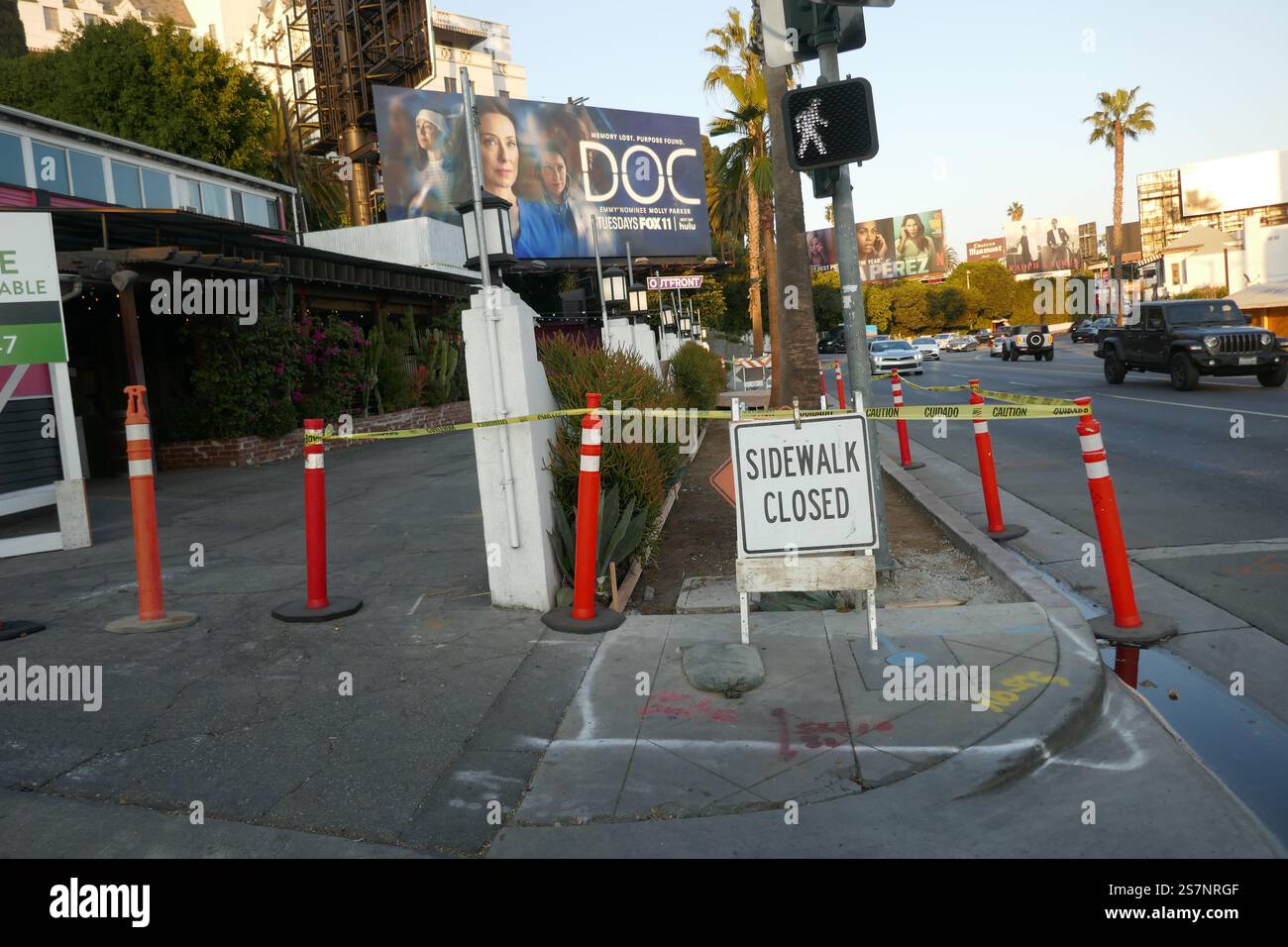 Los Angeles, California, USA 18th January 2025 Pink Taco Restaurant ...