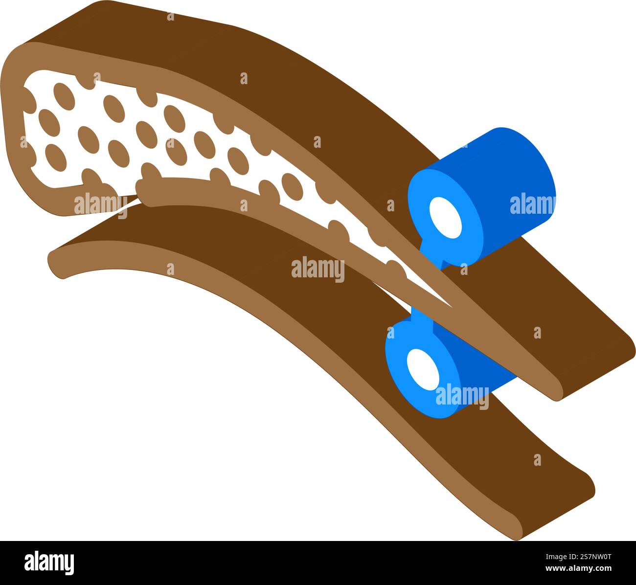 eyebrow piercing fashion beauty isometric icon vector. eyebrow piercing ...