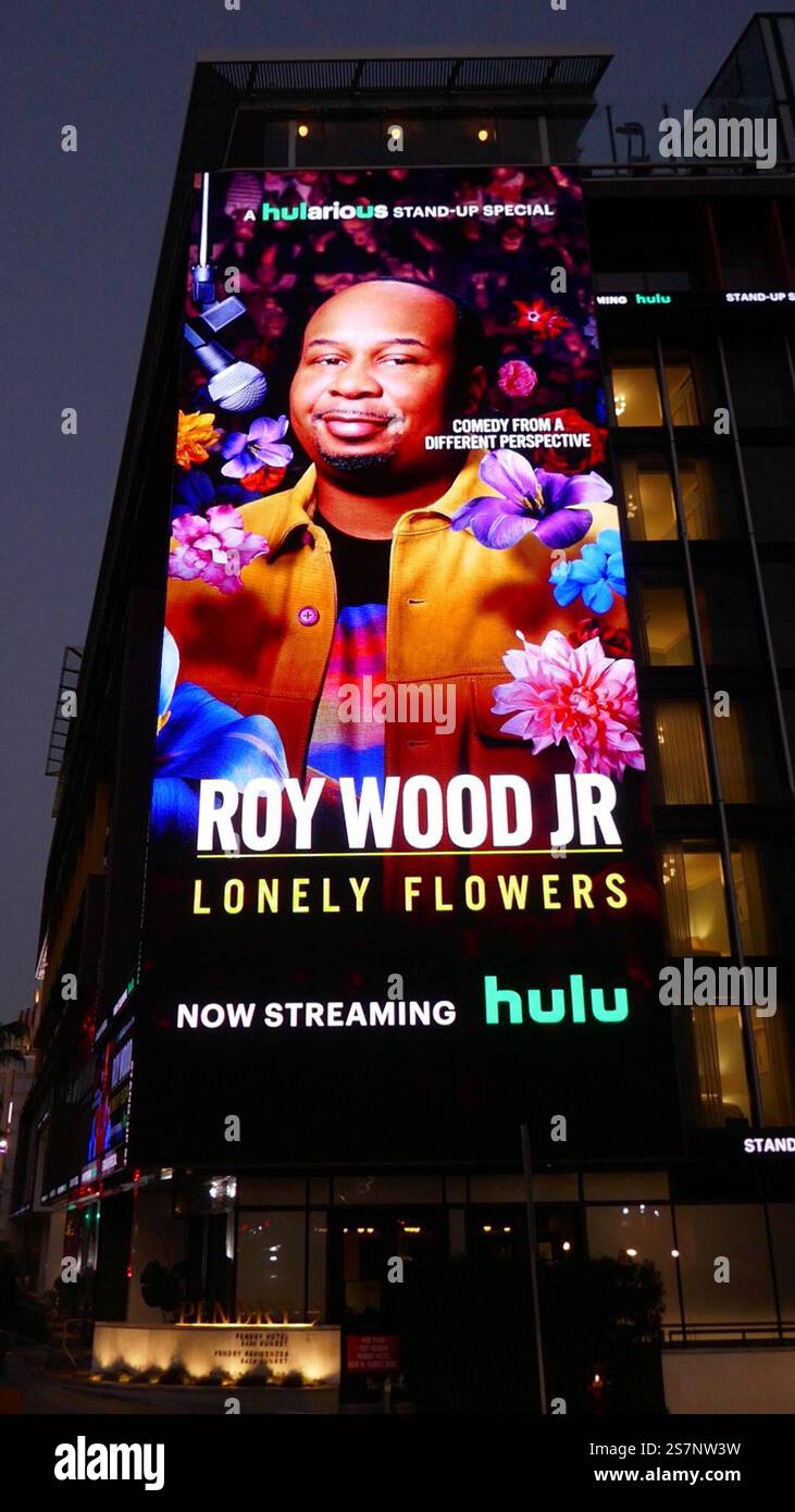 Los Angeles, California, USA 18th January 2025 Roy Wood Jr. Lonely ...