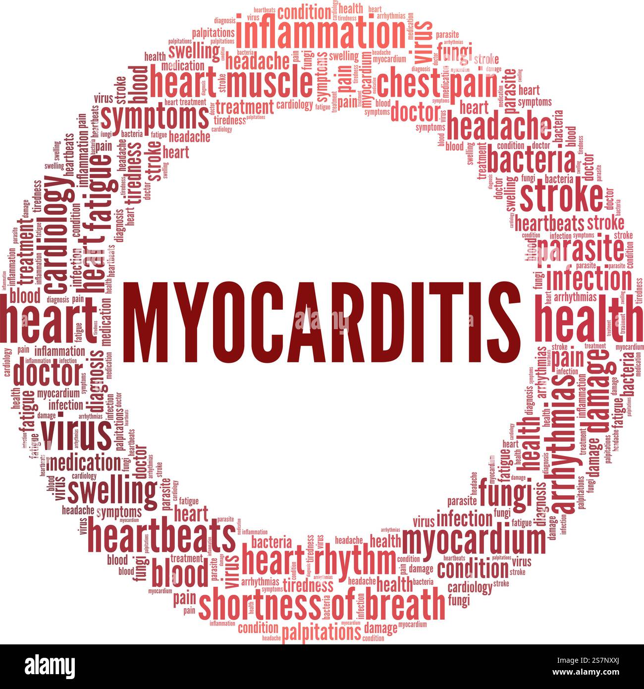 Myocarditis - inflammation of the heart muscle conceptual vector ...