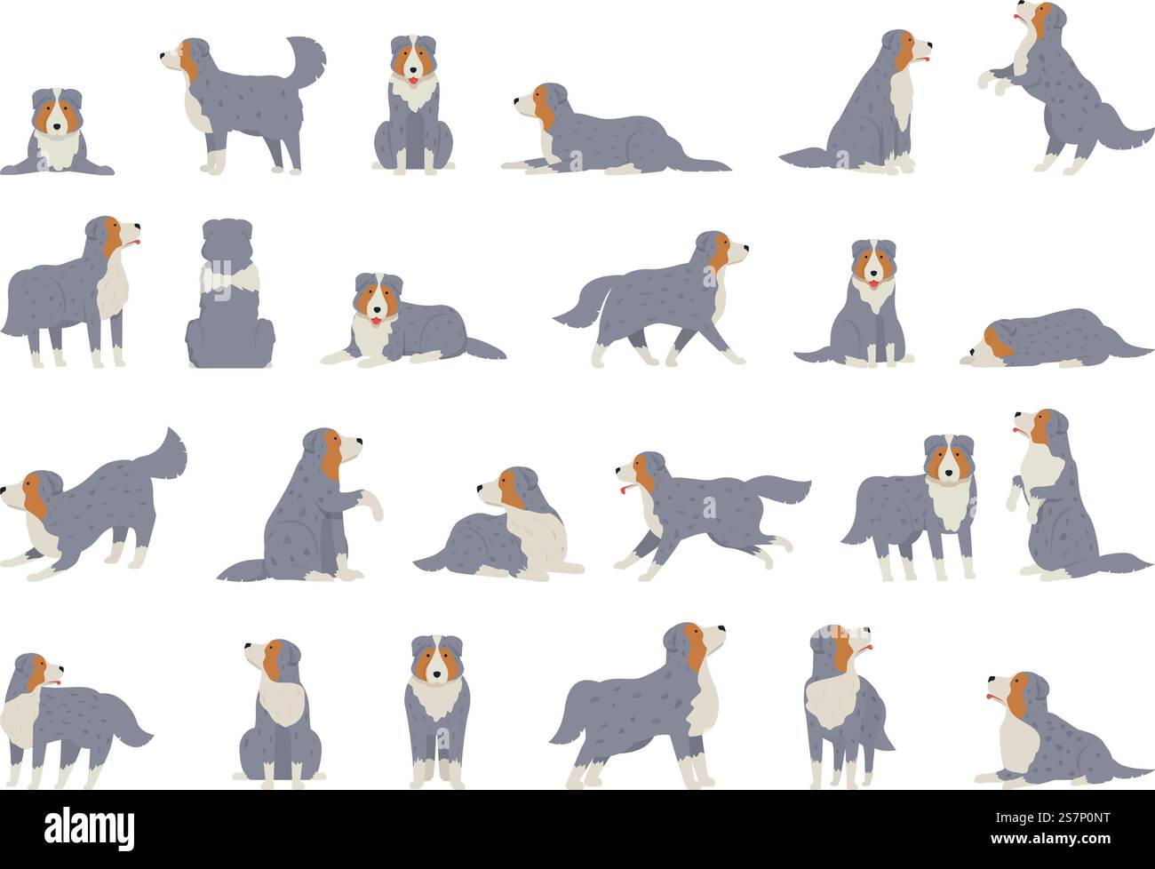 Australian Shepherd icons set cartoon vector. Dog animal. Canine breed ...