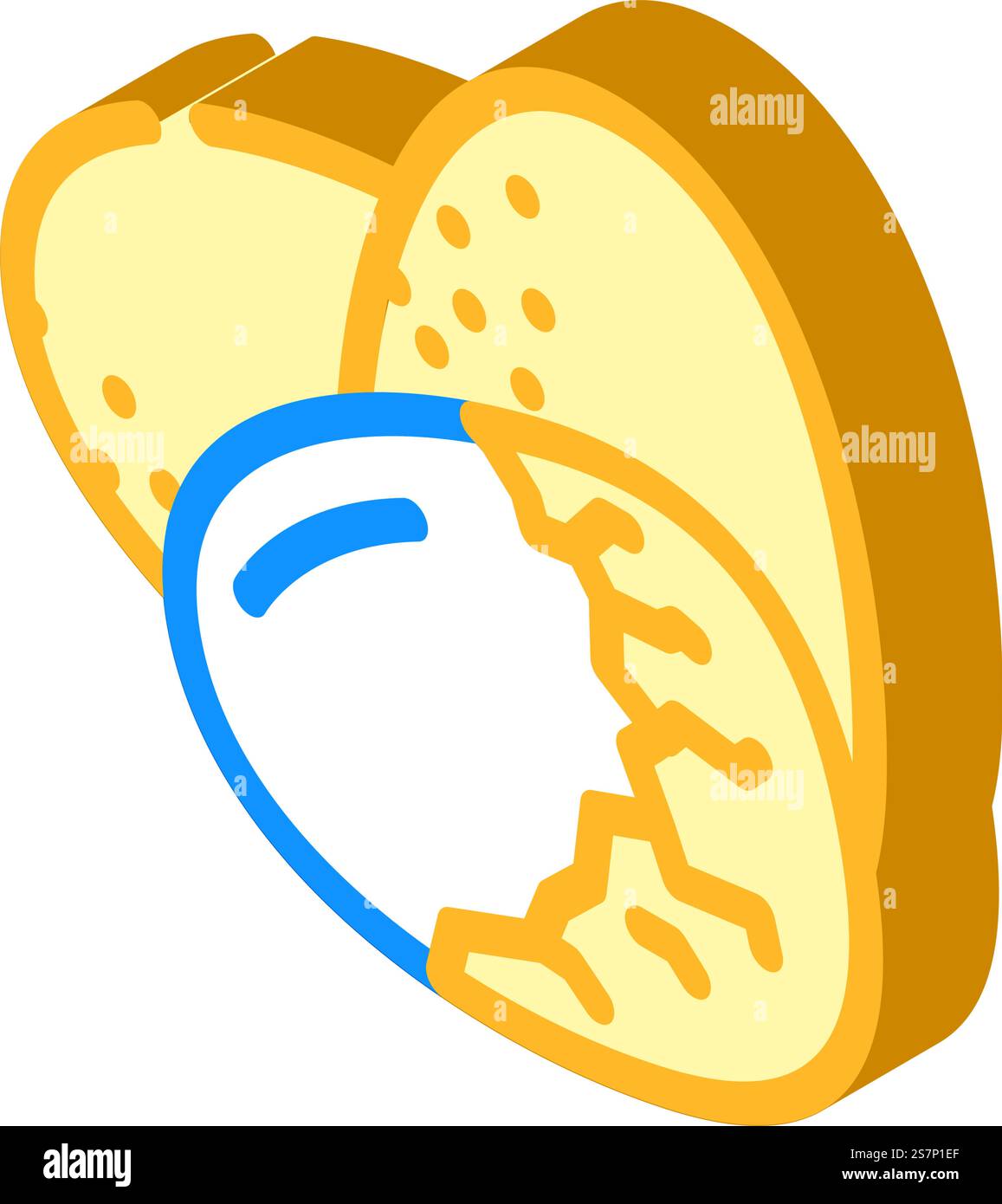 egg shell food hen isometric icon vector. egg shell food hen sign ...