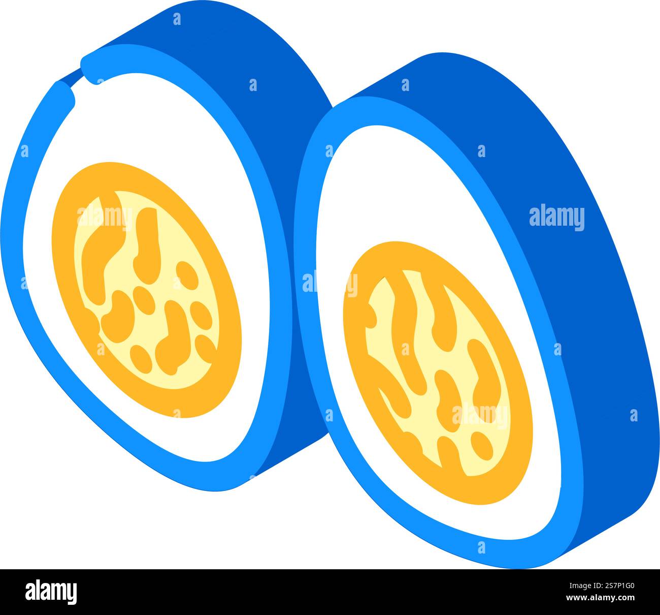 boiled egg food isometric icon vector. boiled egg food sign. isolated ...