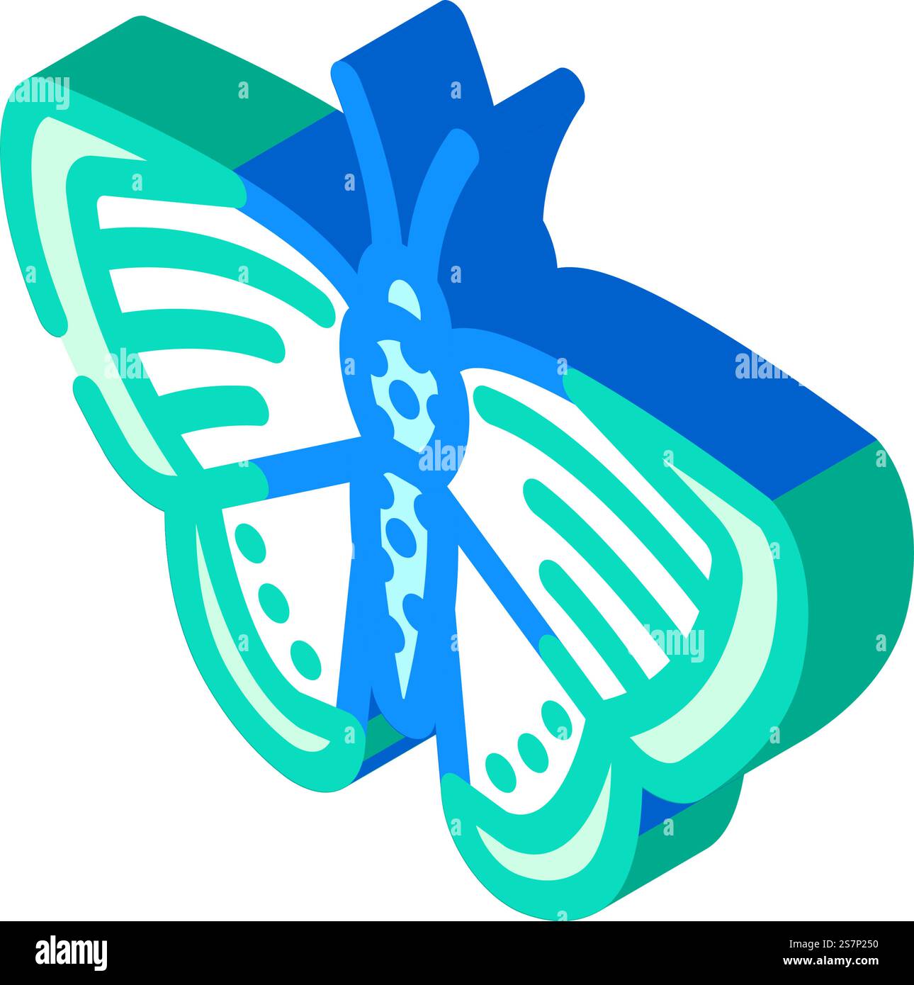chalk hill blue spring isometric icon vector. chalk hill blue spring ...