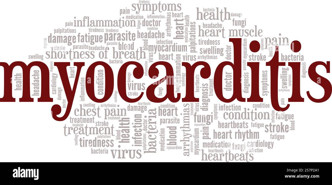 Myocarditis - inflammation of the heart muscle conceptual vector ...