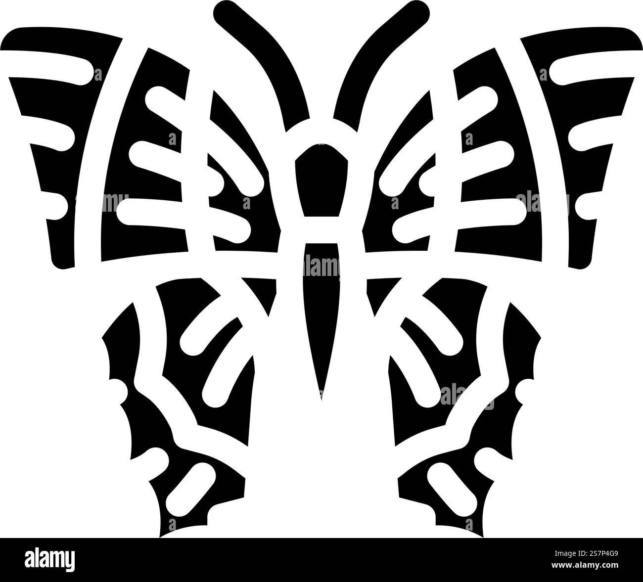 malabar banded peacock insect glyph icon vector. malabar banded peacock ...