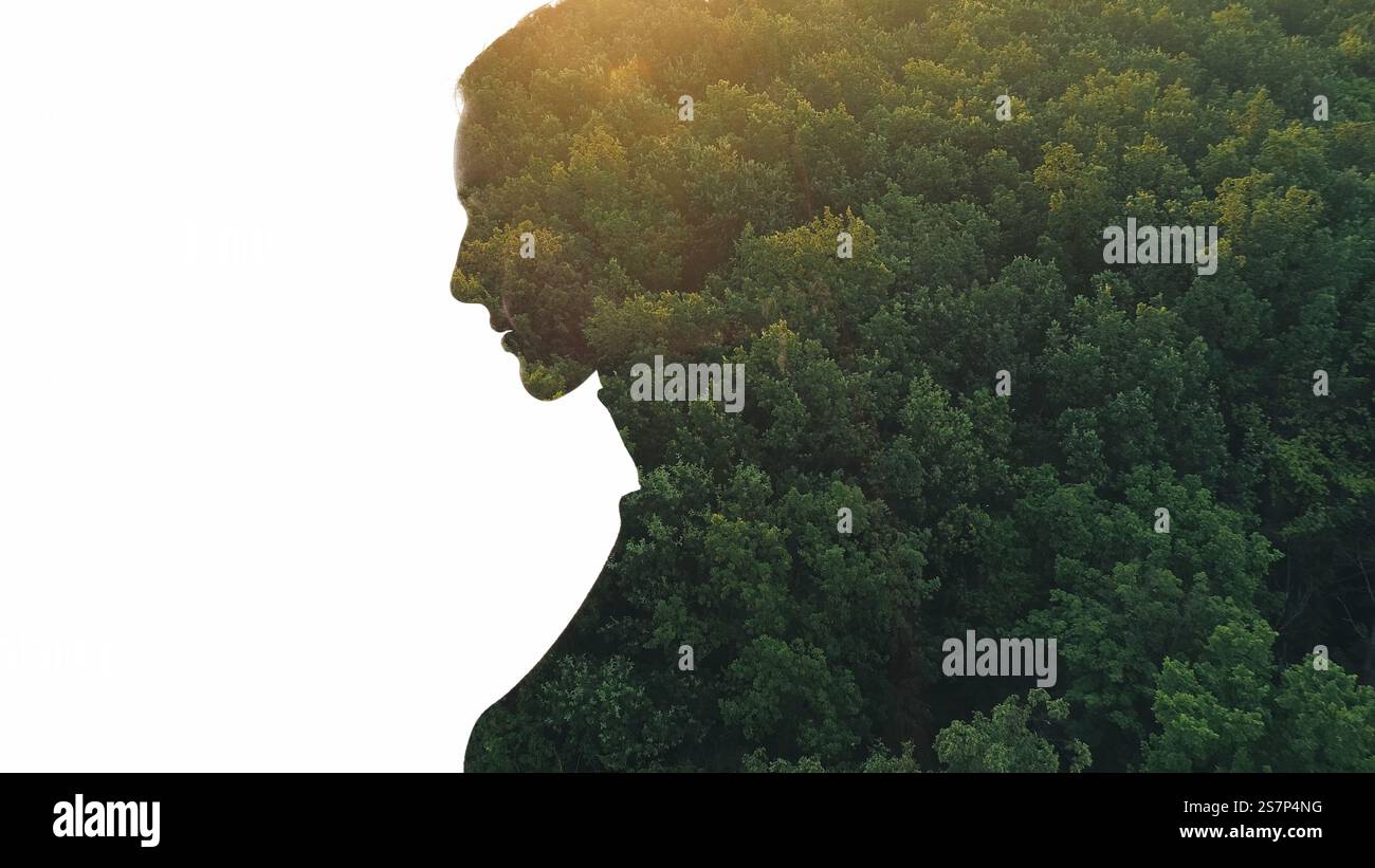 Organic beauty. Ecology mindfulness. Drone shot forest trees in double ...