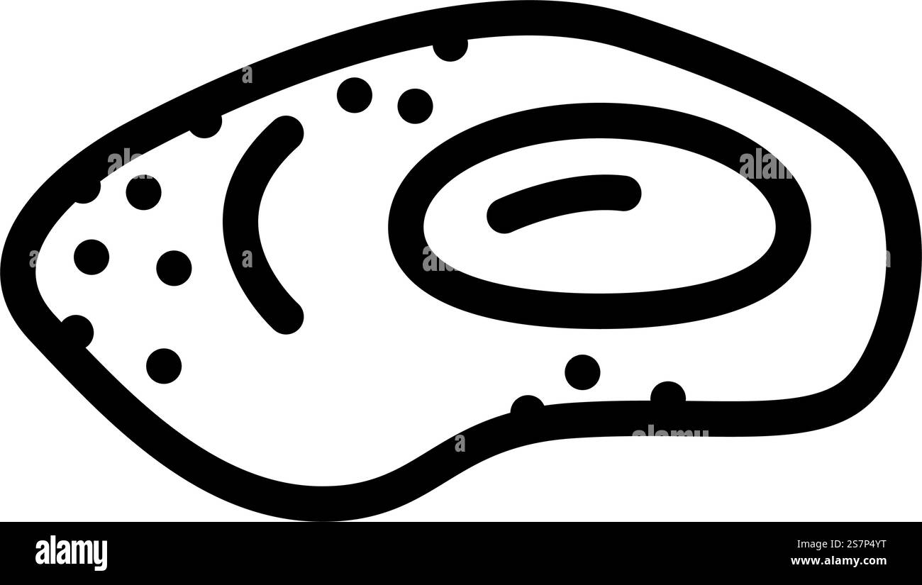 fried egg chicken farm food line icon vector. fried egg chicken farm ...