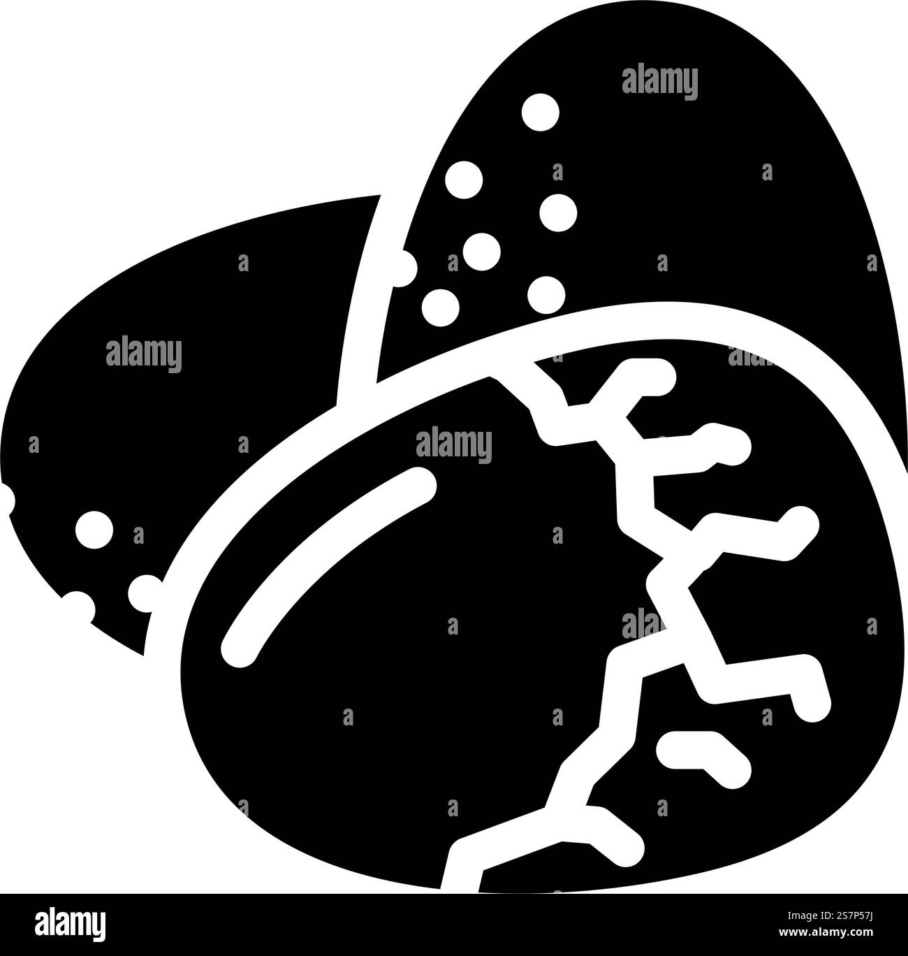egg shell food hen glyph icon vector. egg shell food hen sign. isolated ...