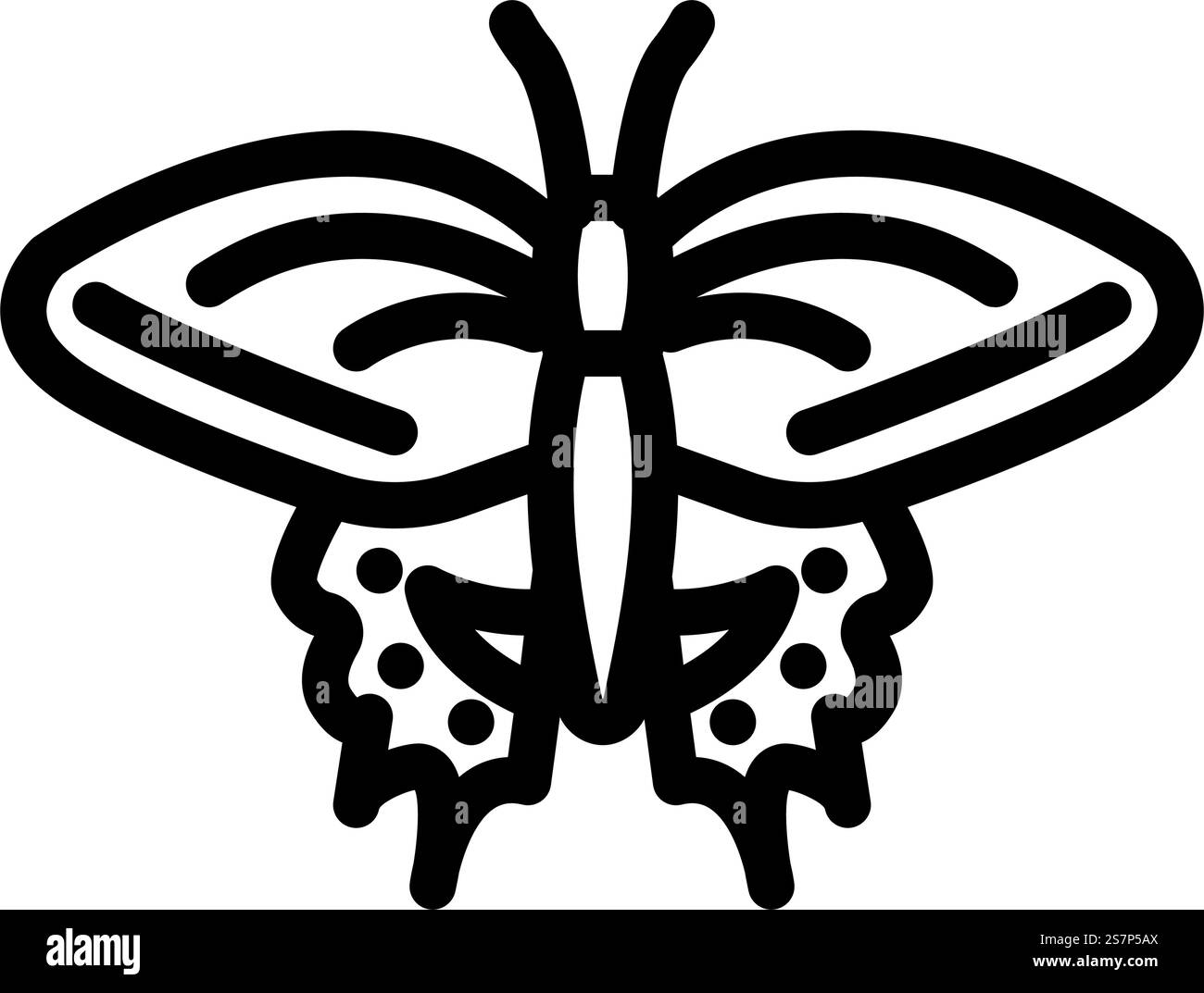 black swallowtail spring line icon vector. black swallowtail spring ...