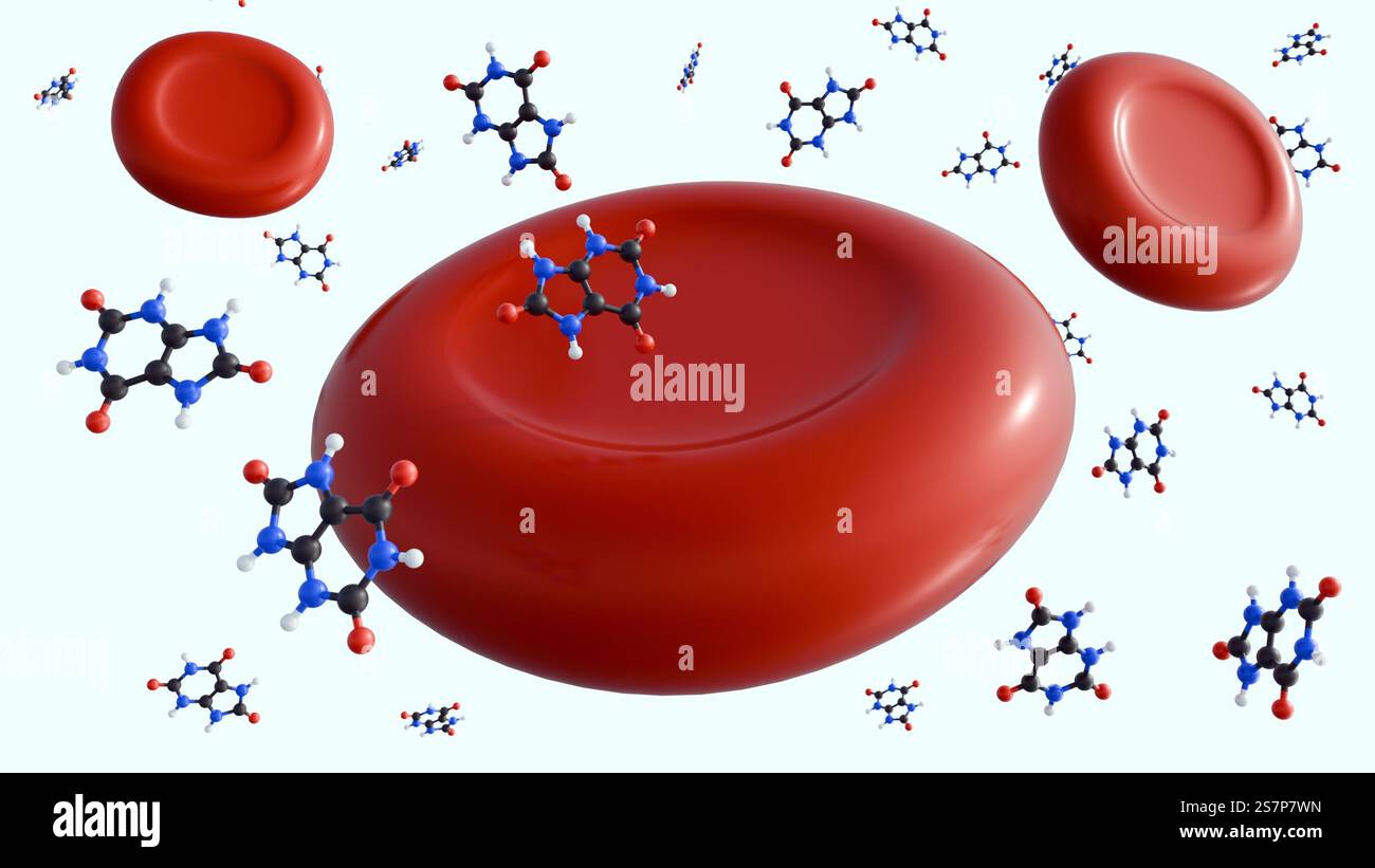 3D rendering of uric acid molecules and red blood cells. Hyperuricemia ...