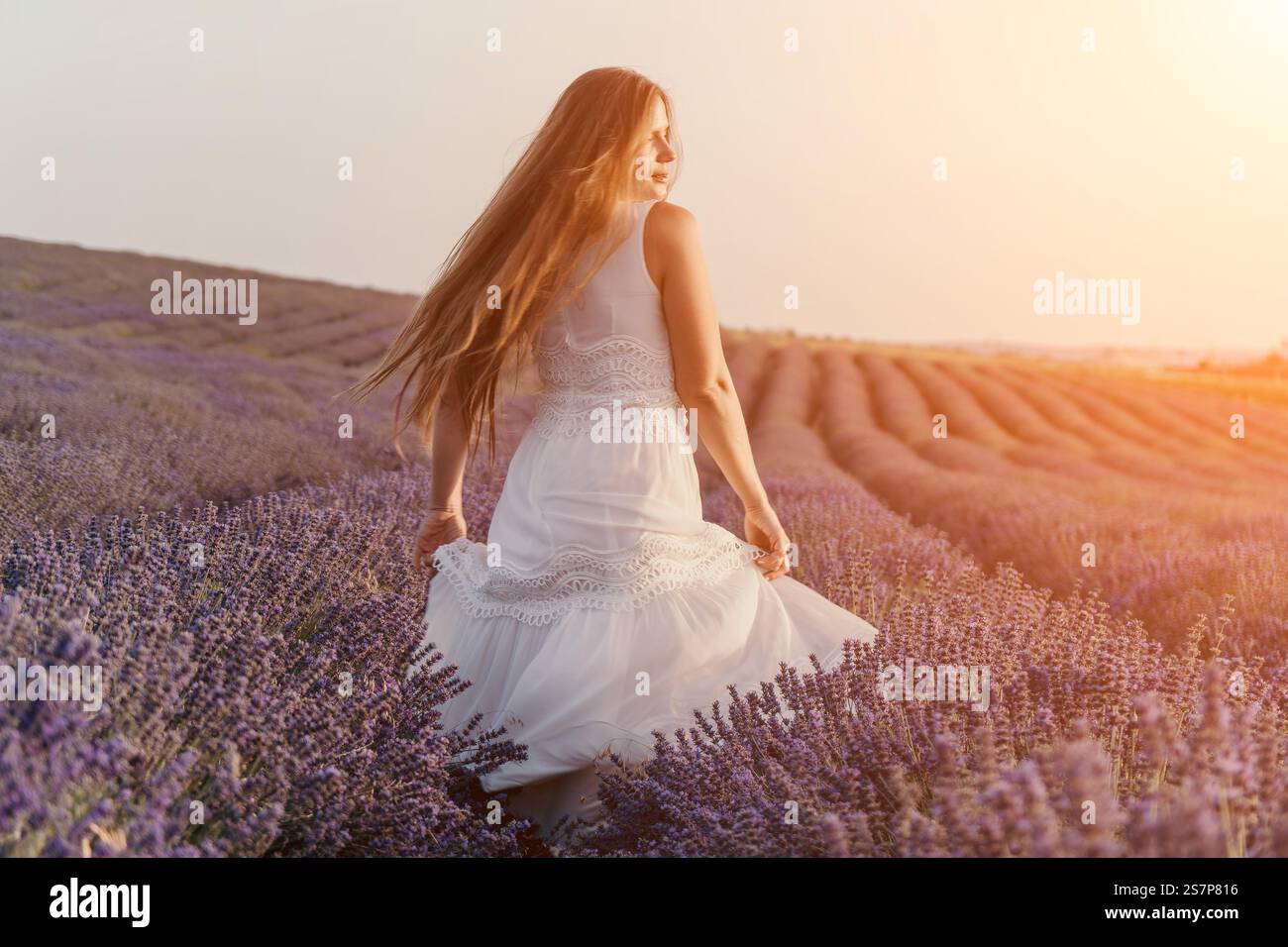 Lavender Fields Woman Dress Sunset: Provence France summer romance photo shoot Stock Photo - Alamy